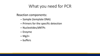Polymerase chain reaction (PCR) | PPT