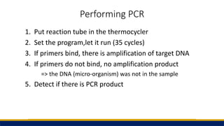 Polymerase chain reaction (PCR) | PPTX