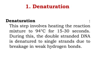 PCR- Polymeric Chain Reaction | PPT