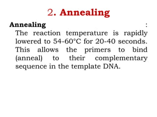 PCR- Polymeric Chain Reaction | PPT