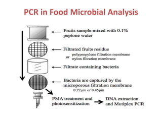 PCR- Polymeric Chain Reaction | PPTX