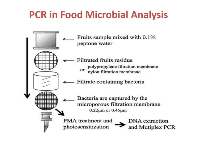 PCR- Polymeric Chain Reaction | PPT