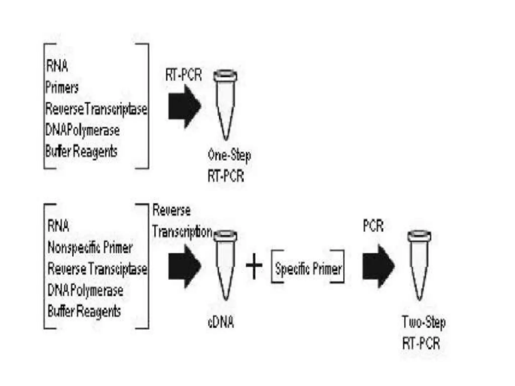 Polymerase Chain Reaction, PCR-139, Definition, Principle, Types and ...