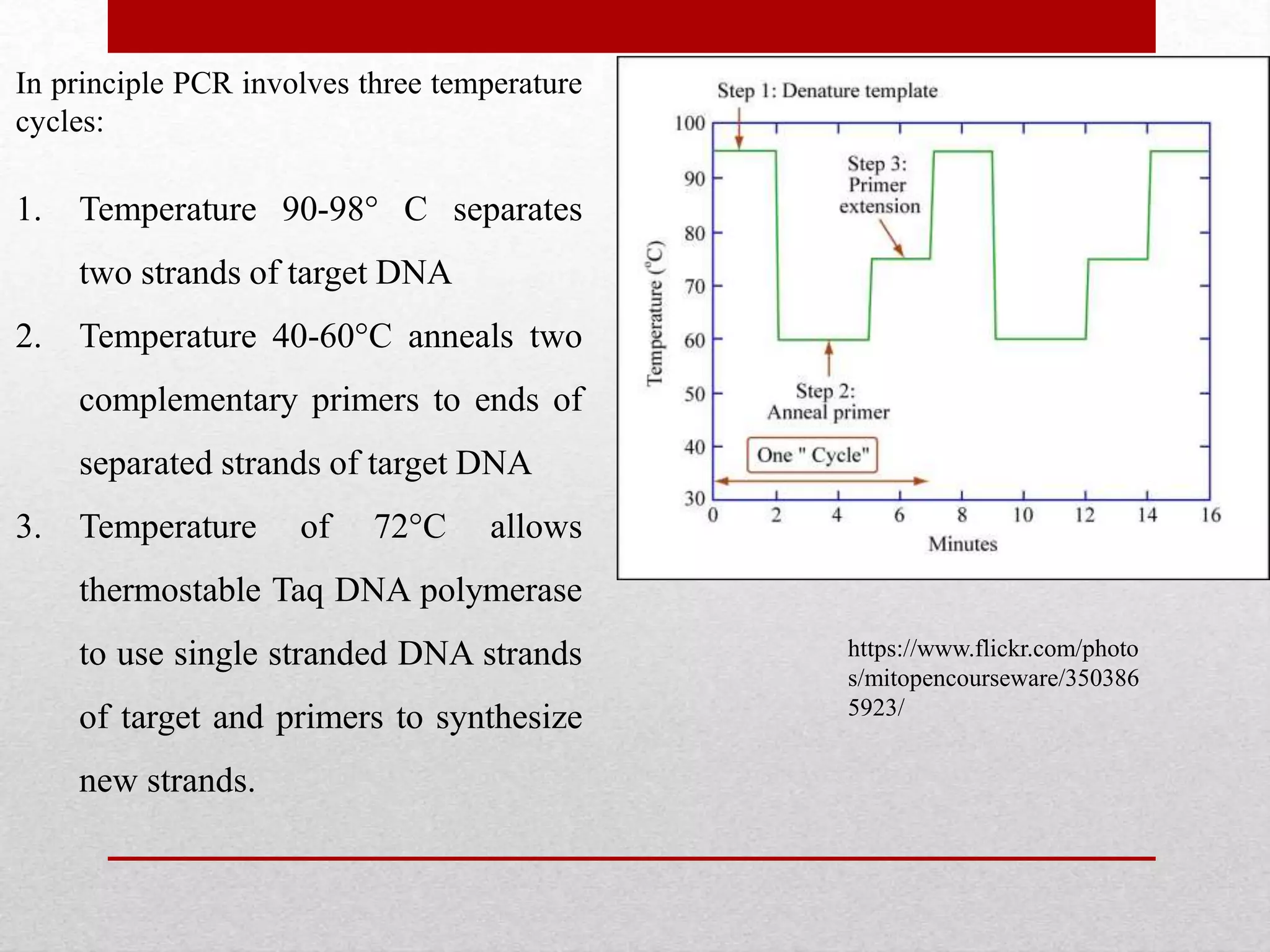 PCR - Polymerase Chain Reaction | PPT