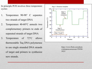 PCR - Polymerase Chain Reaction | PPT