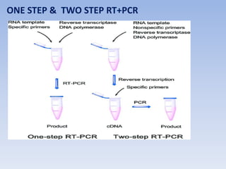 Polymerase chain reaction | PPT