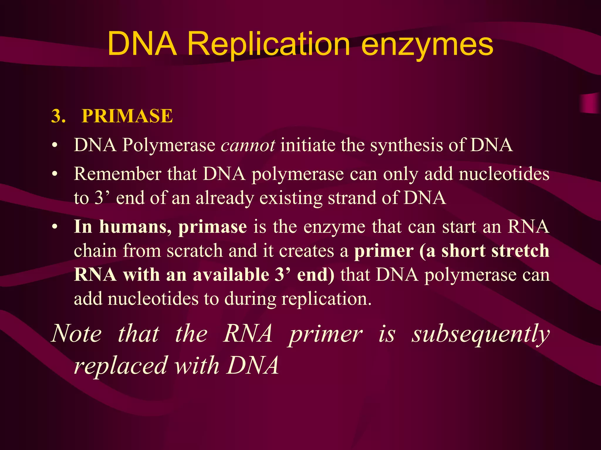 Polymerase Chain Reaction | PPT
