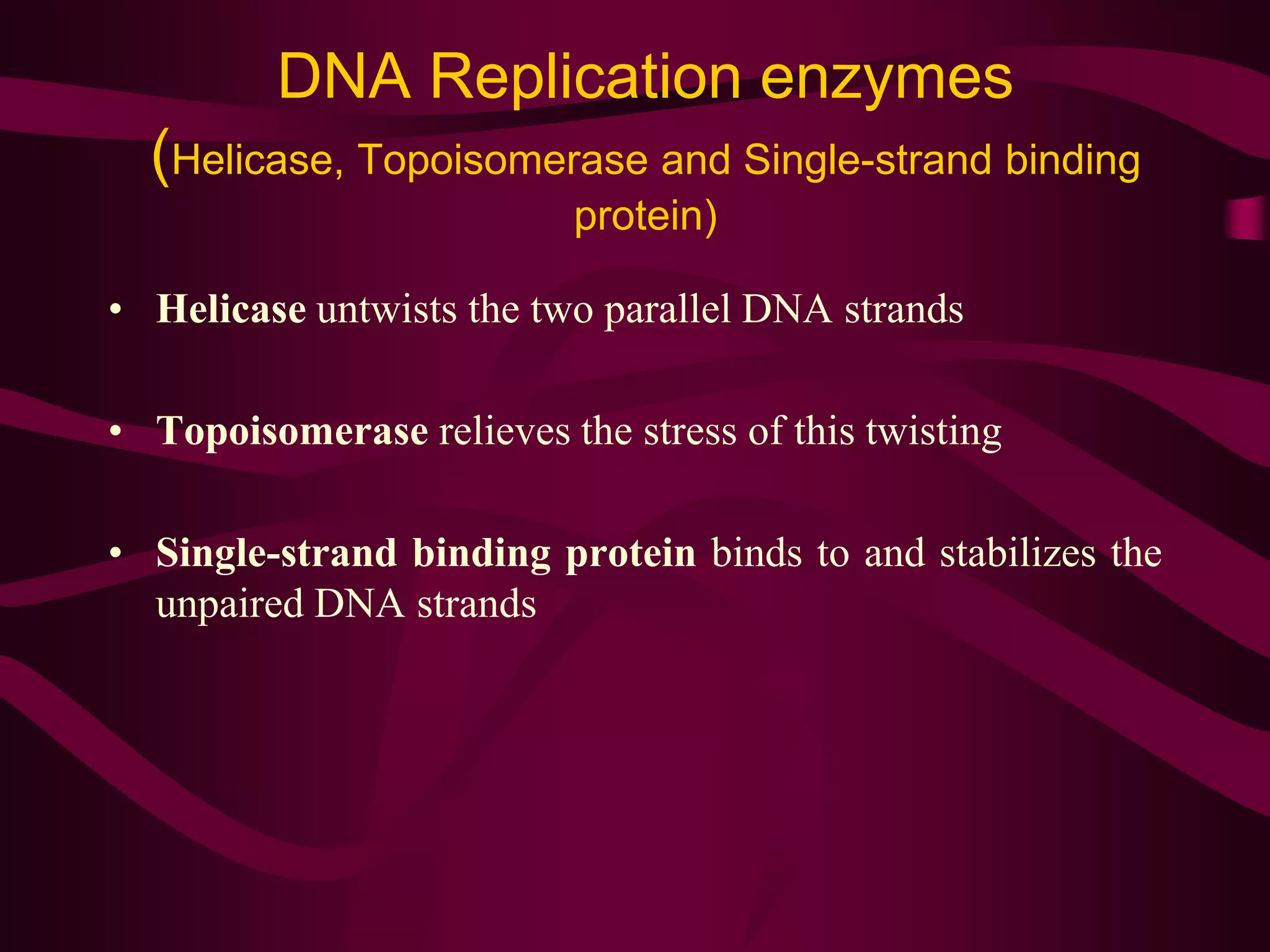 Polymerase Chain Reaction | PPT