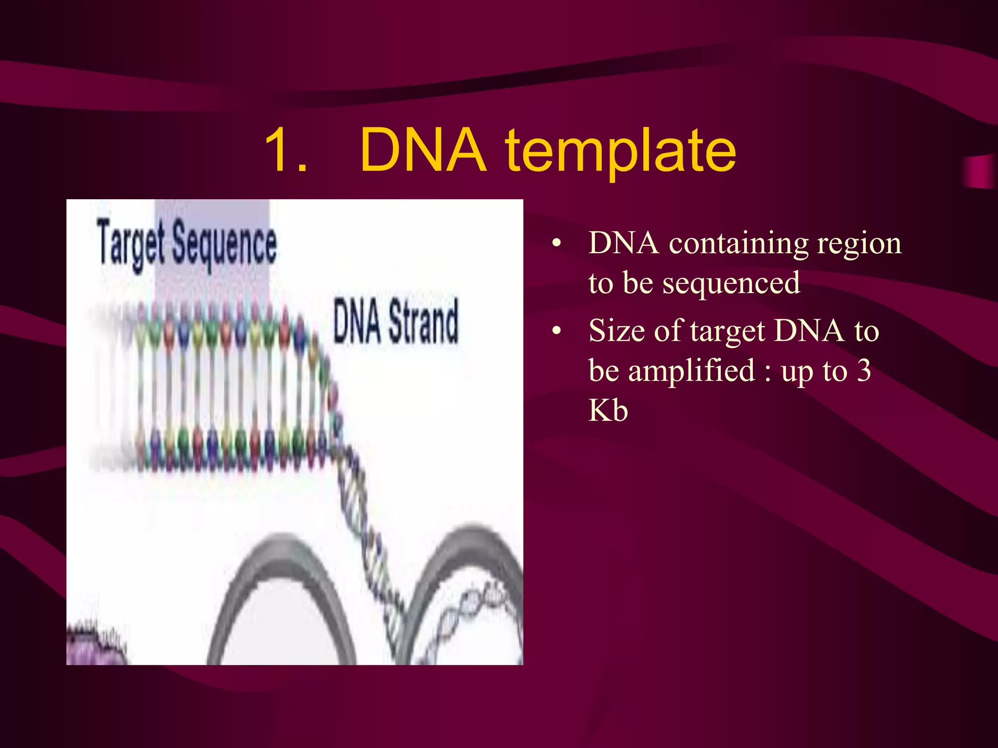 Polymerase Chain Reaction | PPT