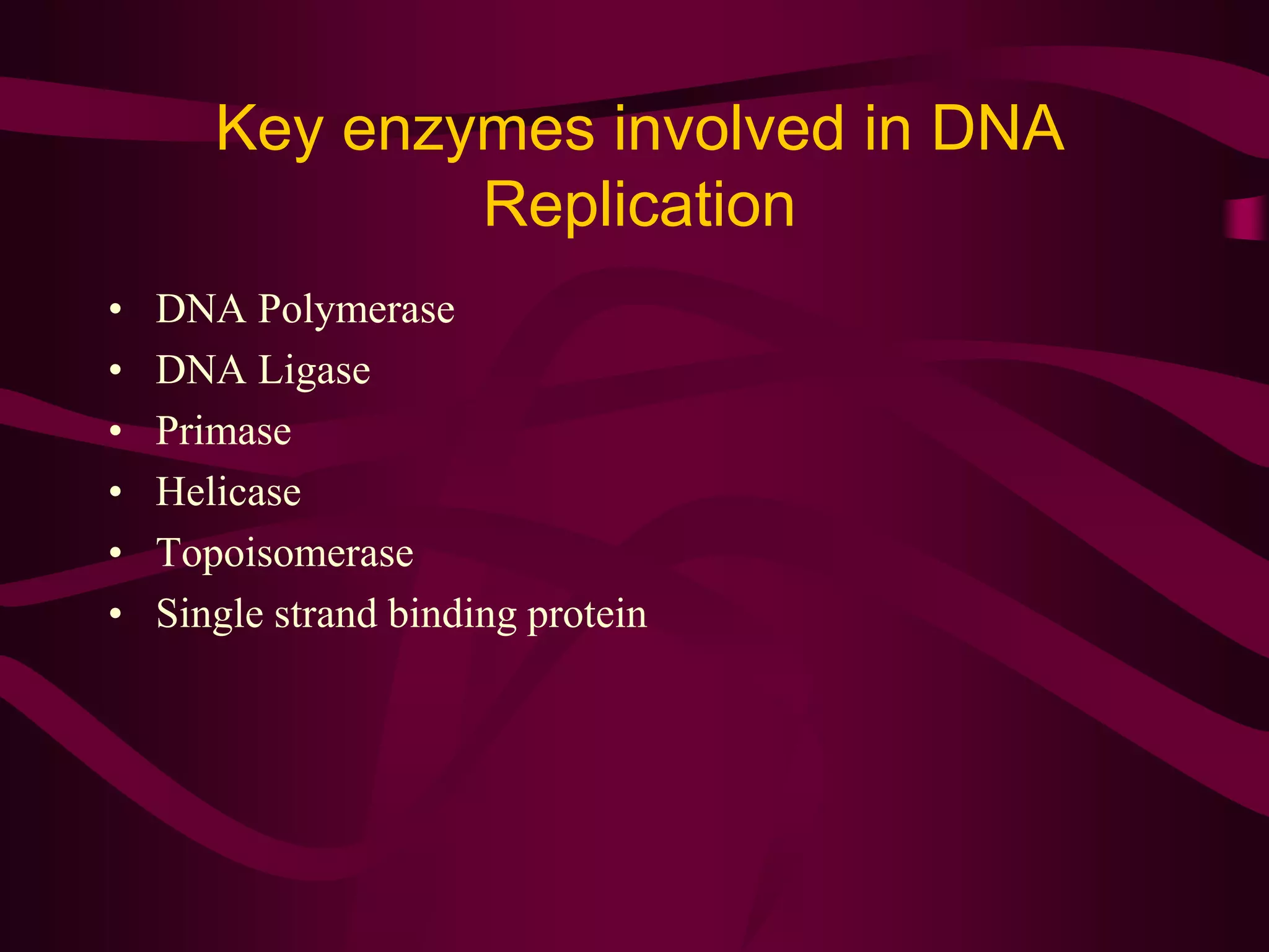 Polymerase Chain Reaction | PPT