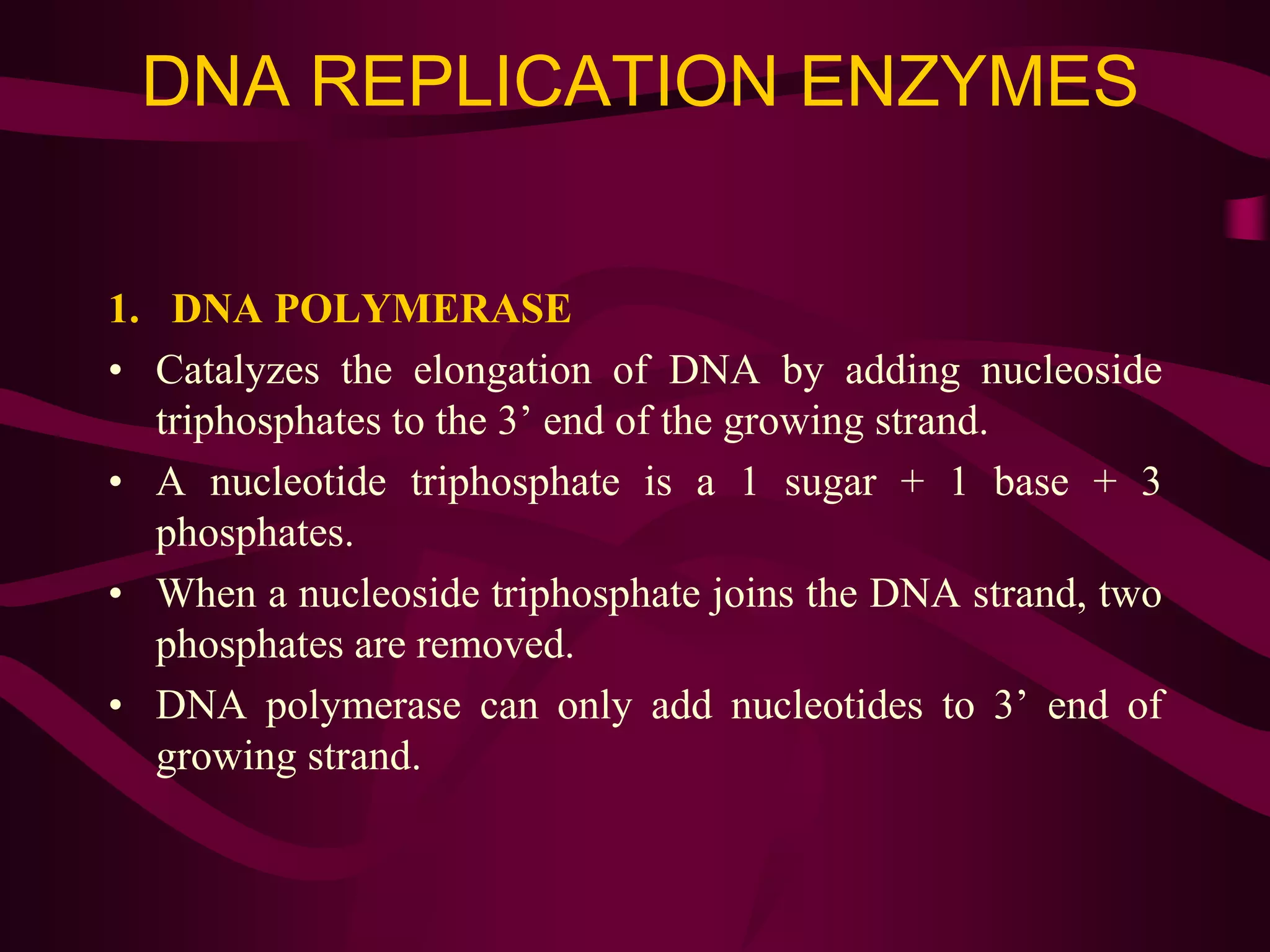 Polymerase Chain Reaction | PPT