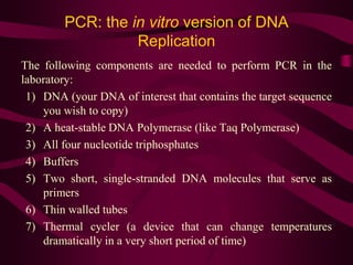 Polymerase Chain Reaction | PPT