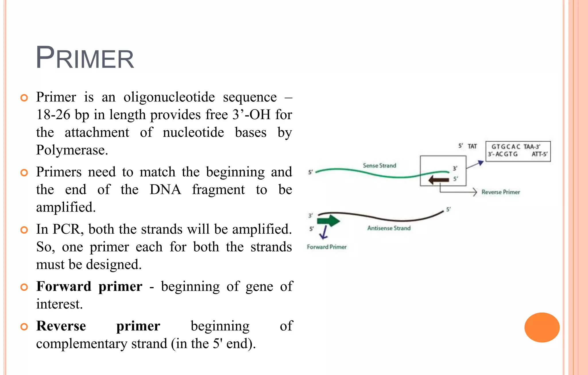 Polymerase Chain Reaction | PPTX