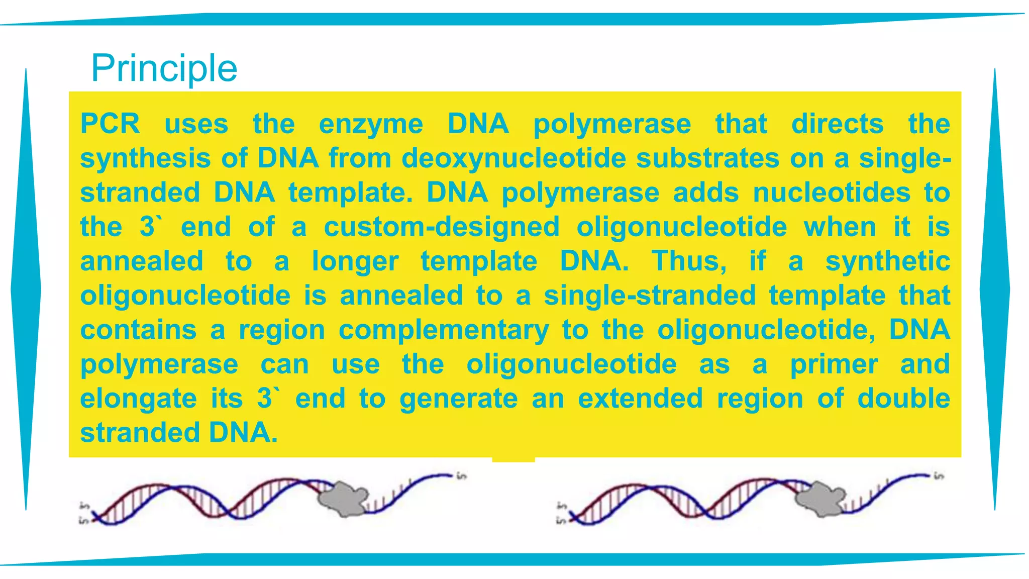Polymerase Chain Reaction | PPT