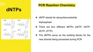 Polymerase Chain Reaction | PPT