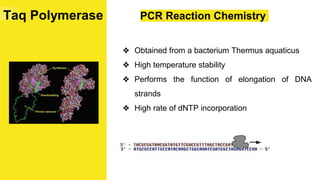 Polymerase Chain Reaction | PPT