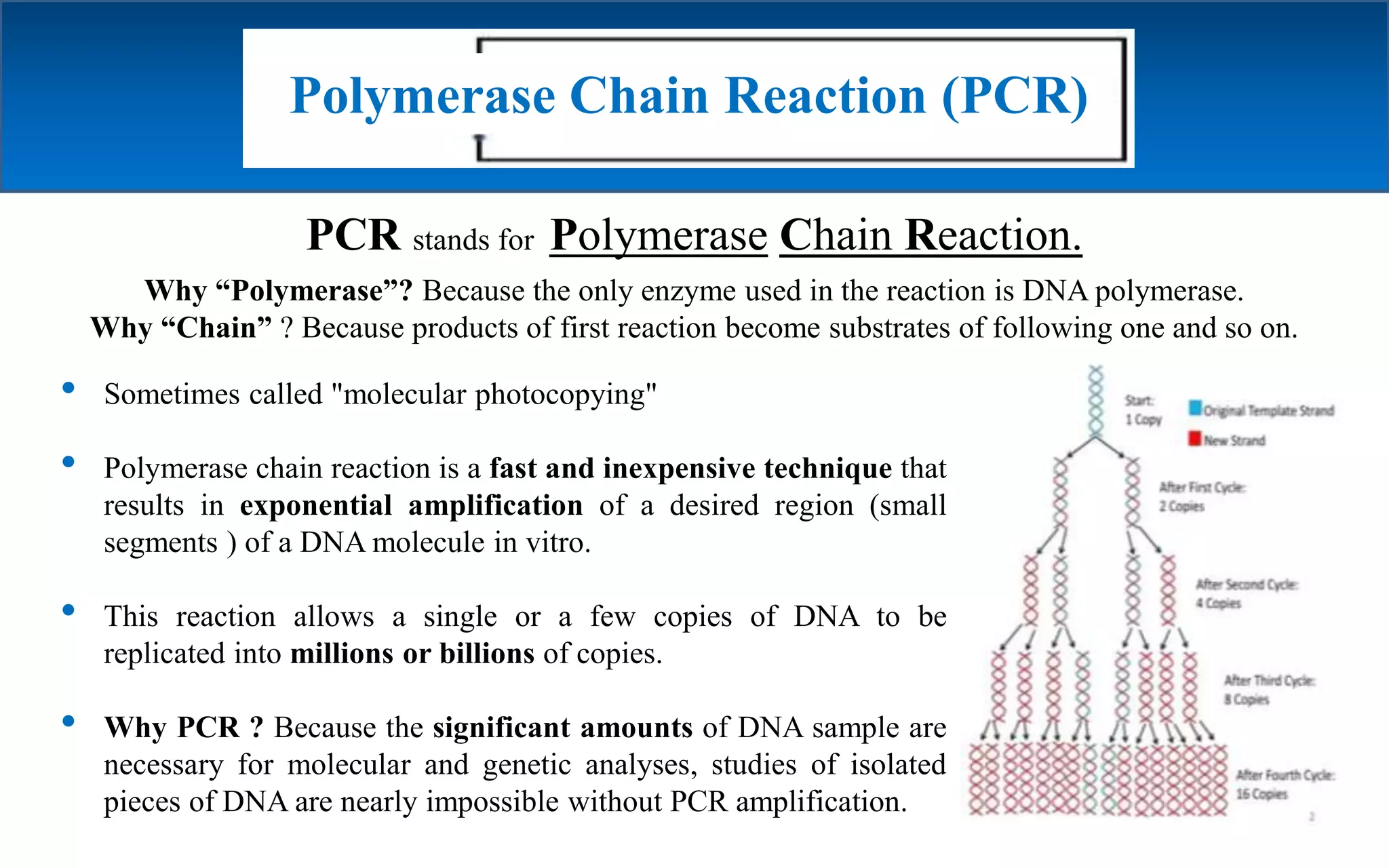 Polymerase chain reaction (PCR) | PPTX