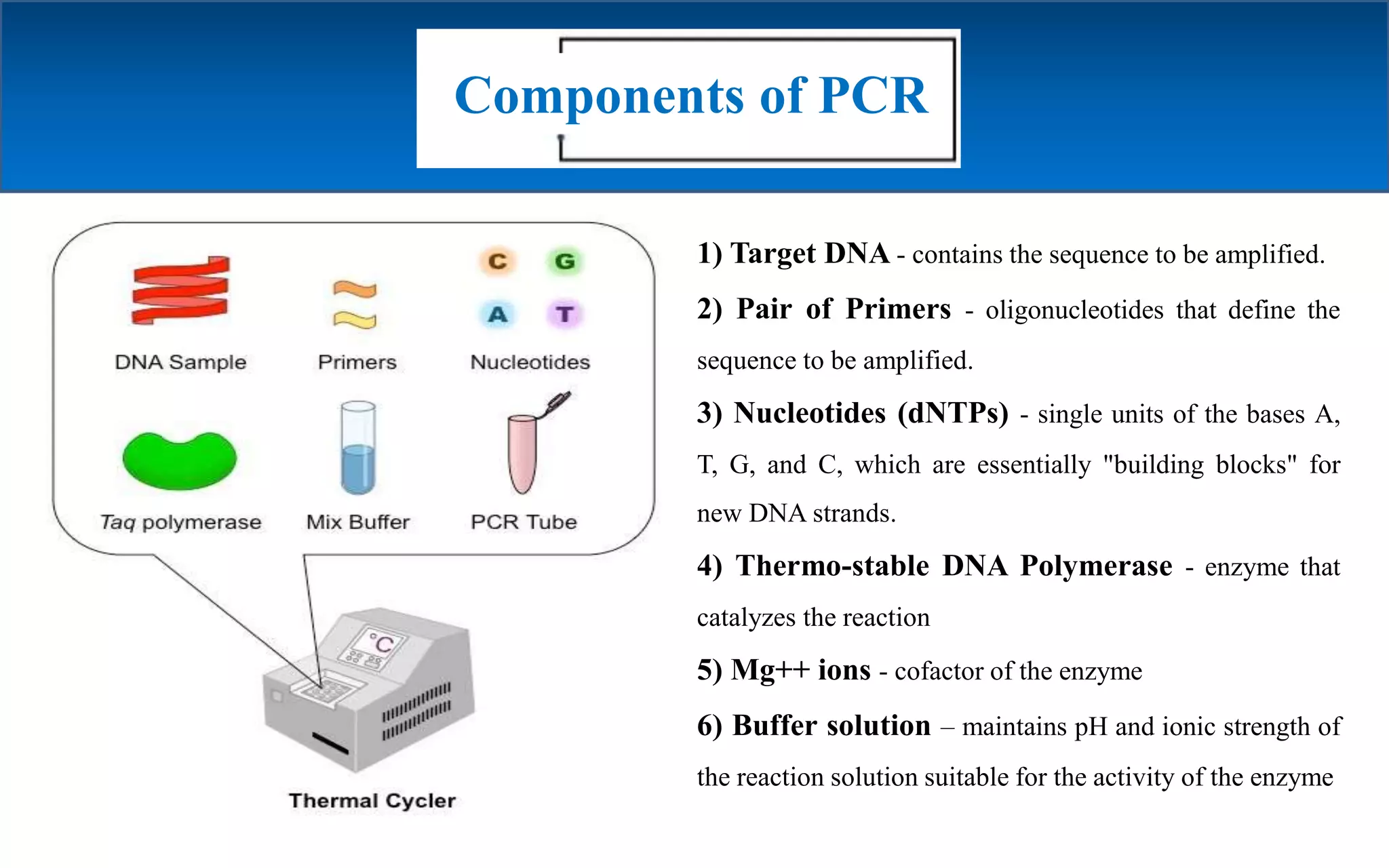 Polymerase chain reaction (PCR) | PPTX