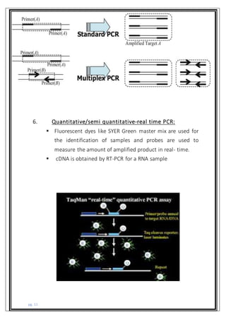 PCR.docx