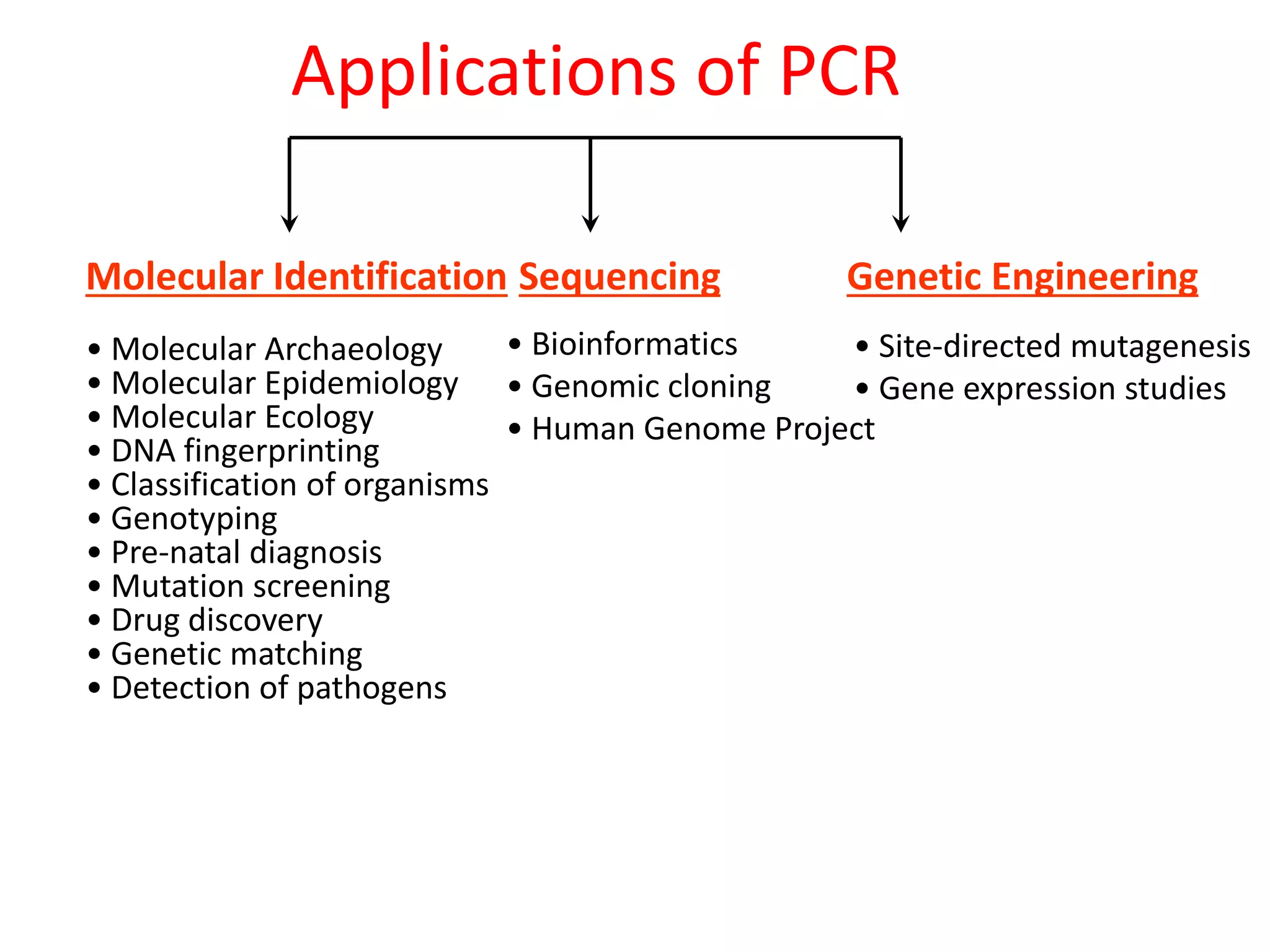 PCR.pptx