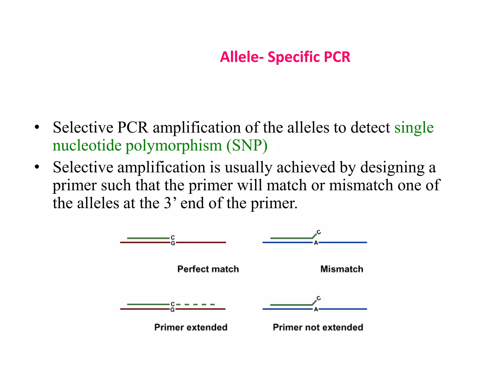 PCR.pptx