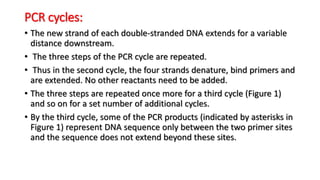 PCR.pptx