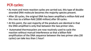 PCR.pptx