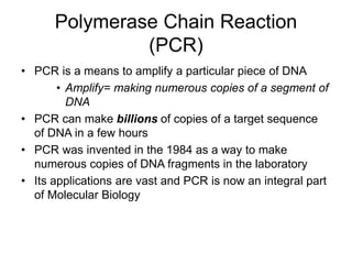 PCR.ppt