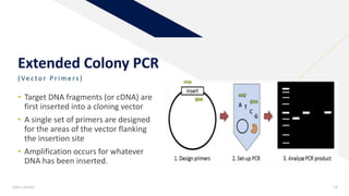 pcr.pptx