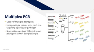 pcr.pptx