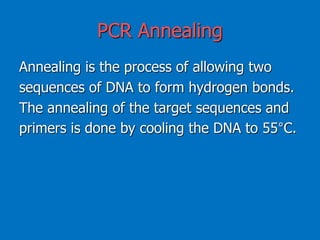 PCR | PPT