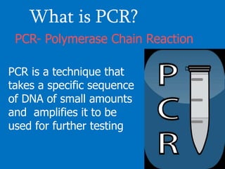 PCR | PPT