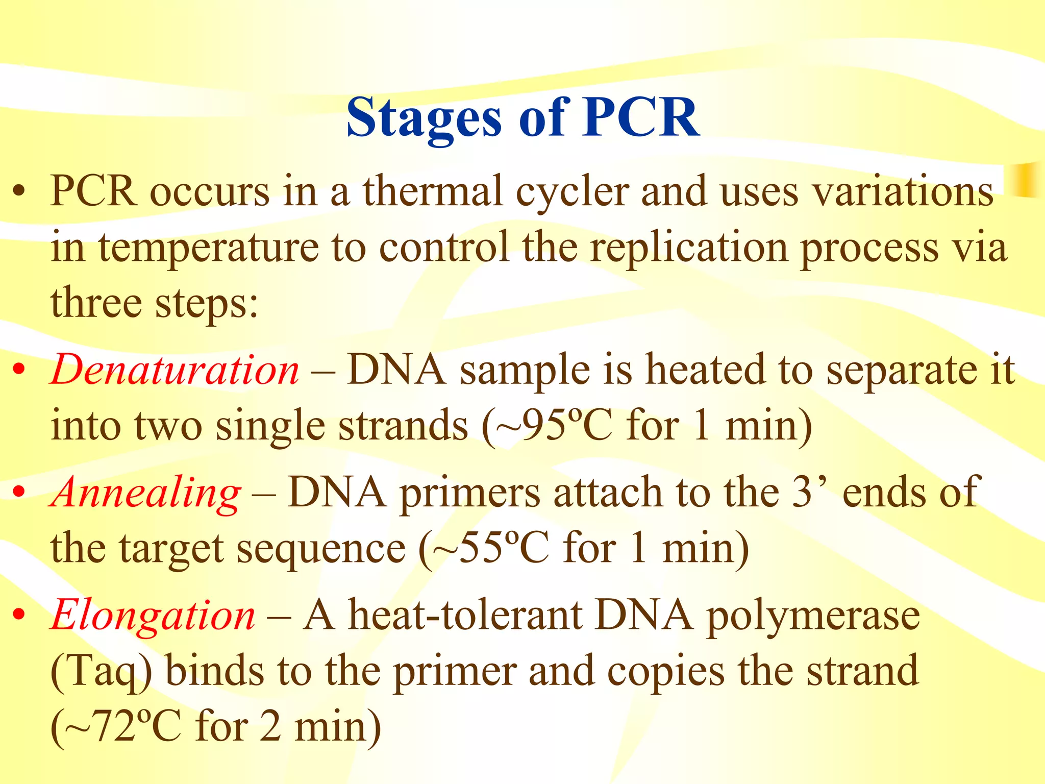 PCR.Lecture 5.ppt
