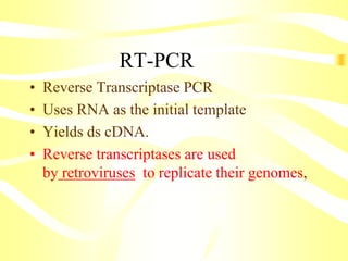 PCR.Lecture 5.ppt