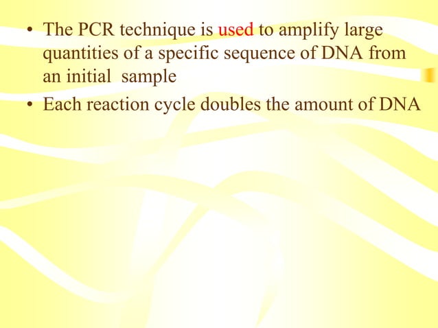 PCR.Lecture 5.ppt