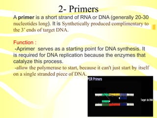 PCR.Lecture 5.ppt