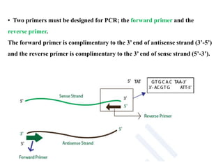 PCR.pptx