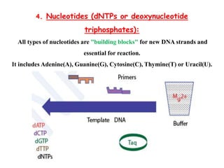 PCR.pptx