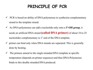 PCR.pptx