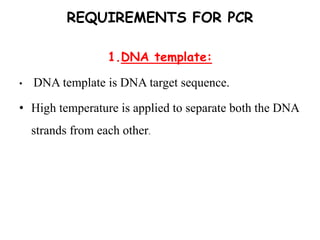 PCR.pptx