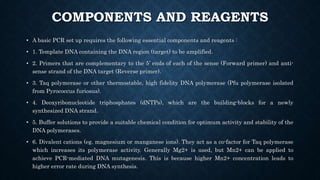 PCR.pptx