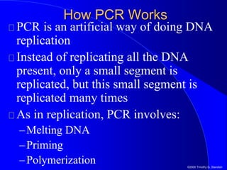 PCR.ppt | Chemistry | Science