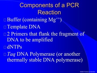 PCR.ppt