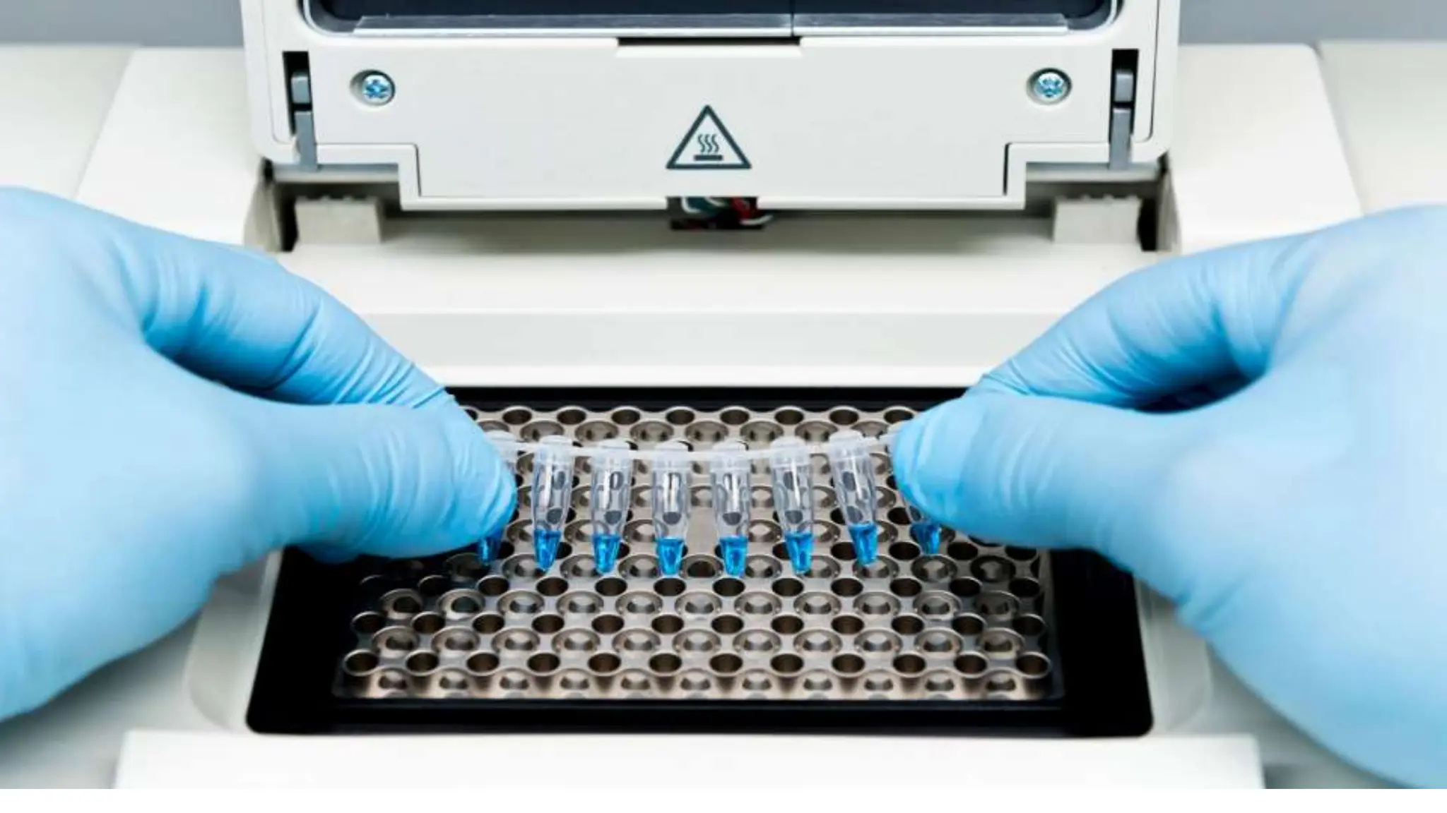 PCR.pptx