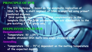 PCR.pptx