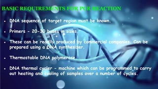 PCR.pptx