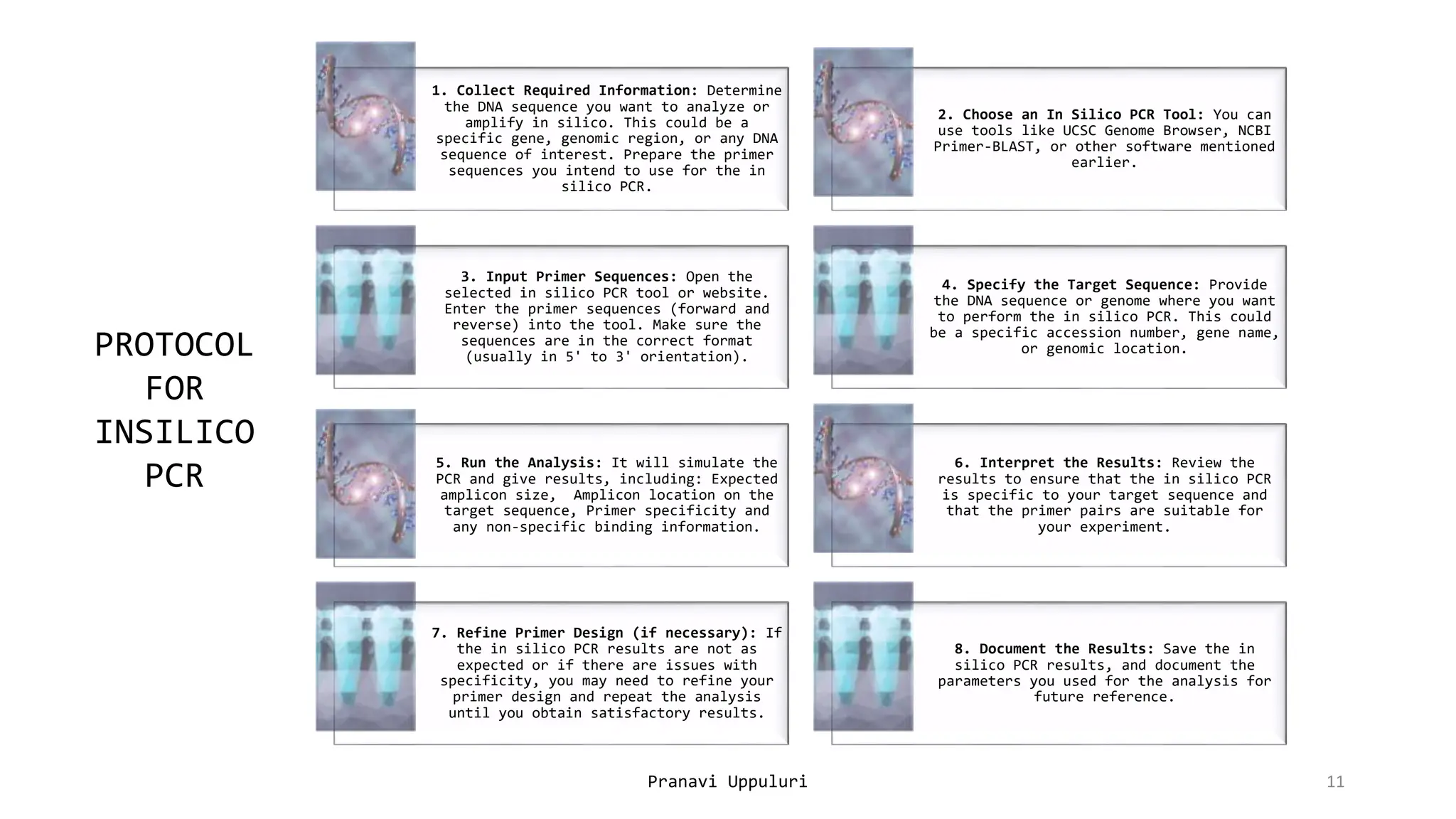 InsilicoPCR.pptx