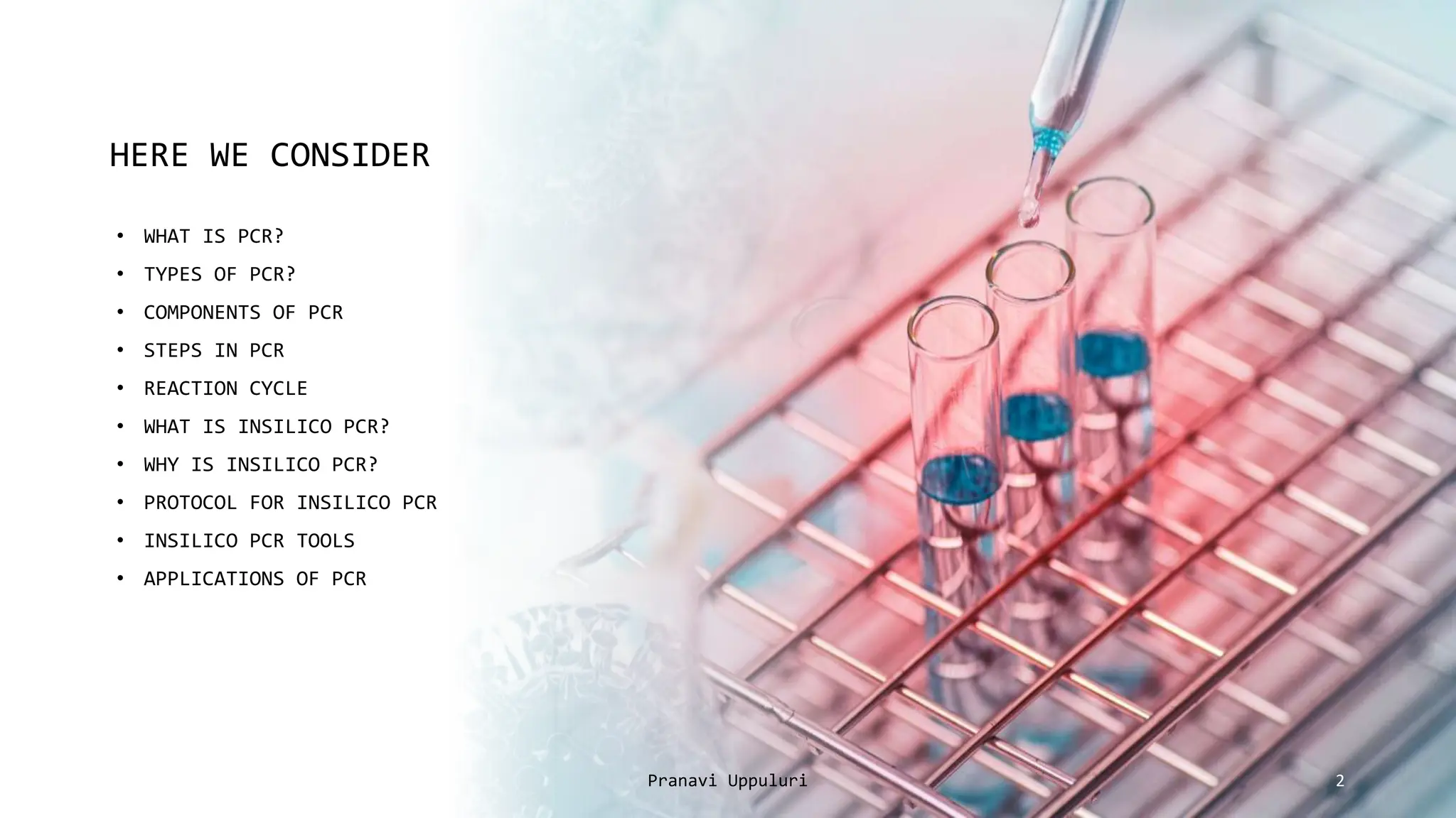 InsilicoPCR.pptx