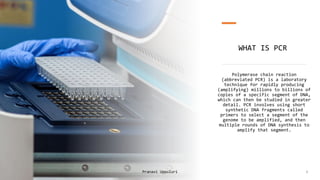 InsilicoPCR.pptx