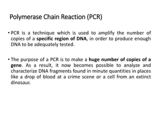 Introduction to Polymerase Chain Reaction (PCR) | PPT